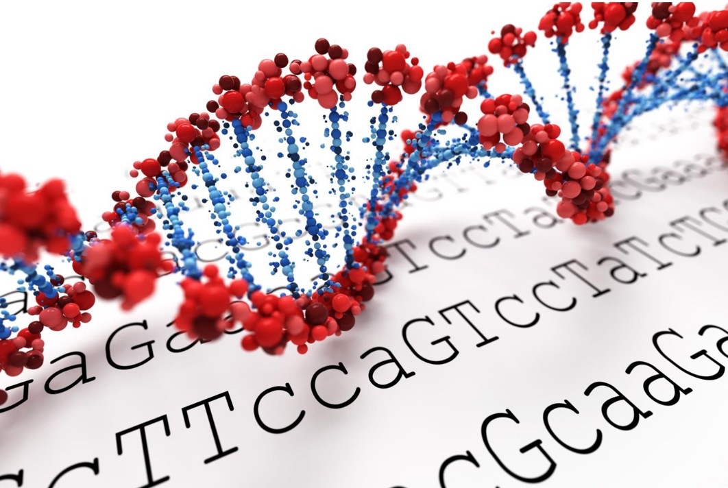 GenePlanet และ WGS (Whole Genome Sequencing) : การลงทุนระยะยาวด้าน ...