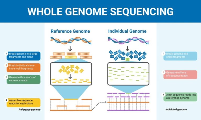 เทคโนโลยีทาง DNA และการทำ Whole Genome Sequencing (WGS) มีความสำคัญ ...